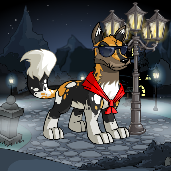 Tramp | Dress to Impress