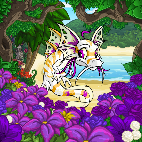 Oshin 2 | Dress to Impress: Preview customized Neopets' clothing and ...