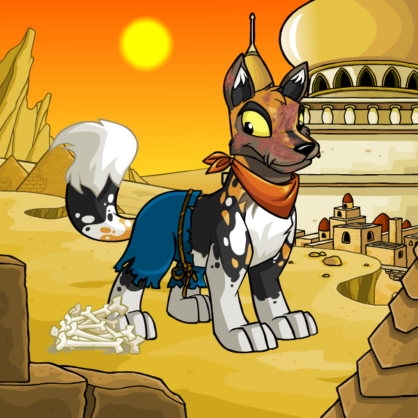 Shared outfit | Dress to Impress: Preview customized Neopets' clothing ...