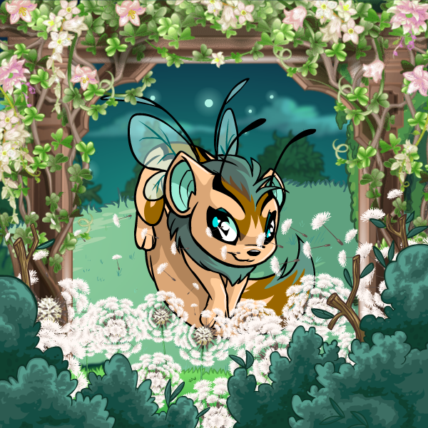 Shared outfit | Dress to Impress: Preview customized Neopets' clothing ...