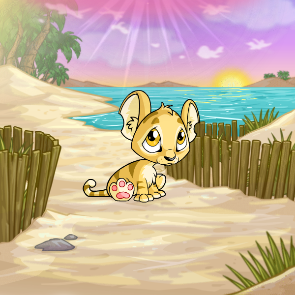 Dellinto Summer | Dress to Impress: Preview customized Neopets ...