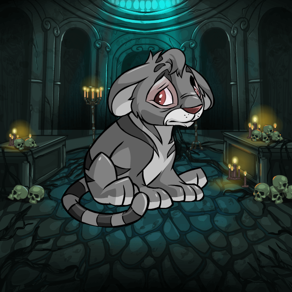 Andromeda | Dress to Impress