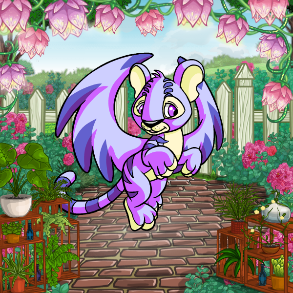 UC Fae Kougra | Dress to Impress