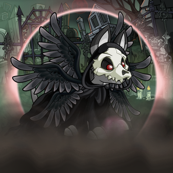 Hallo Bori | Dress to Impress