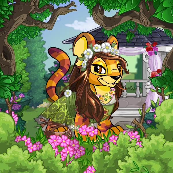 Shared outfit | Dress to Impress: Preview customized Neopets' clothing ...